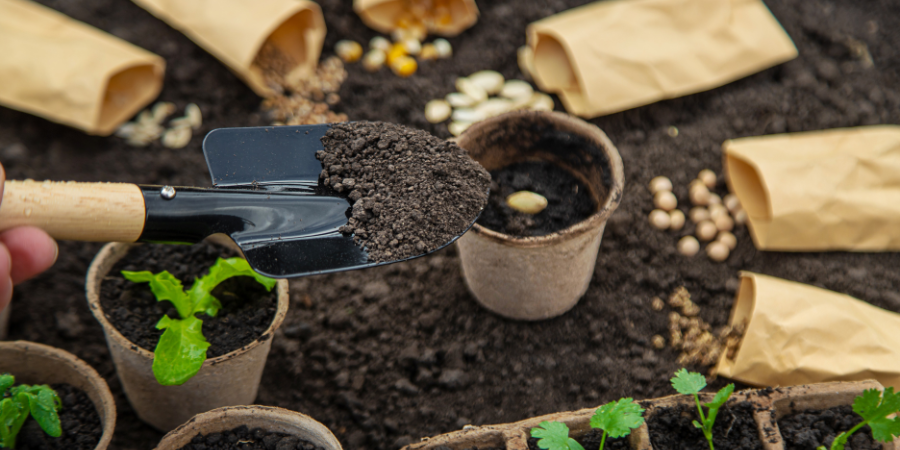 How to Prep Soil for Your Garden: Essential Tips and Best Practices